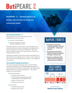 Feed Solutions for Show Pigs, Cattle, Goats and Sheep